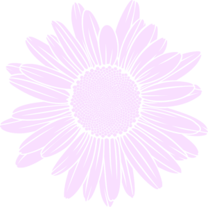 Daisy Gray | Singer Songwriter | Official Website